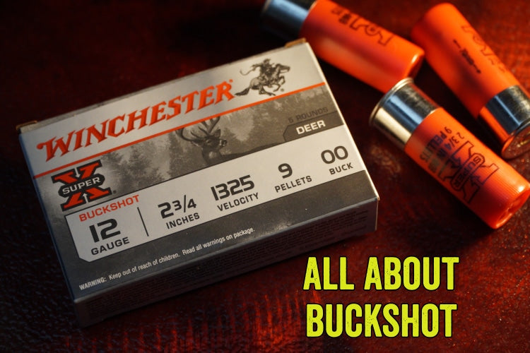 Buckshot Explained: Sizes, Patterns & Use Cases | True Shot Academy